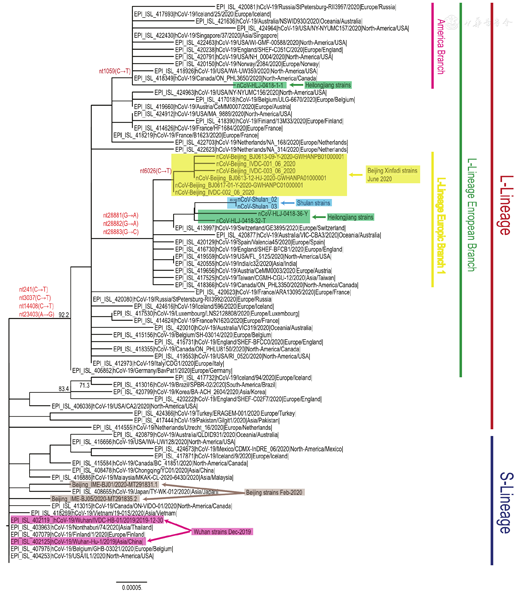 Genomic characterization of SARS-CoV-2 identified in a reemerging COVID ...