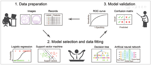 Predictive Modeling in Reproductive Medicine - 生殖与发育医学（英文）