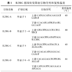 IL2RG基因新突变致X-连锁重症联合免疫缺陷病二例及产前诊断研究 - 中华医学杂志