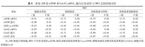 mTOR-Cdc42信号通路对慢性阻塞性肺疾病小鼠肺泡巨噬细胞吞噬功能的影响 - 中华医学杂志