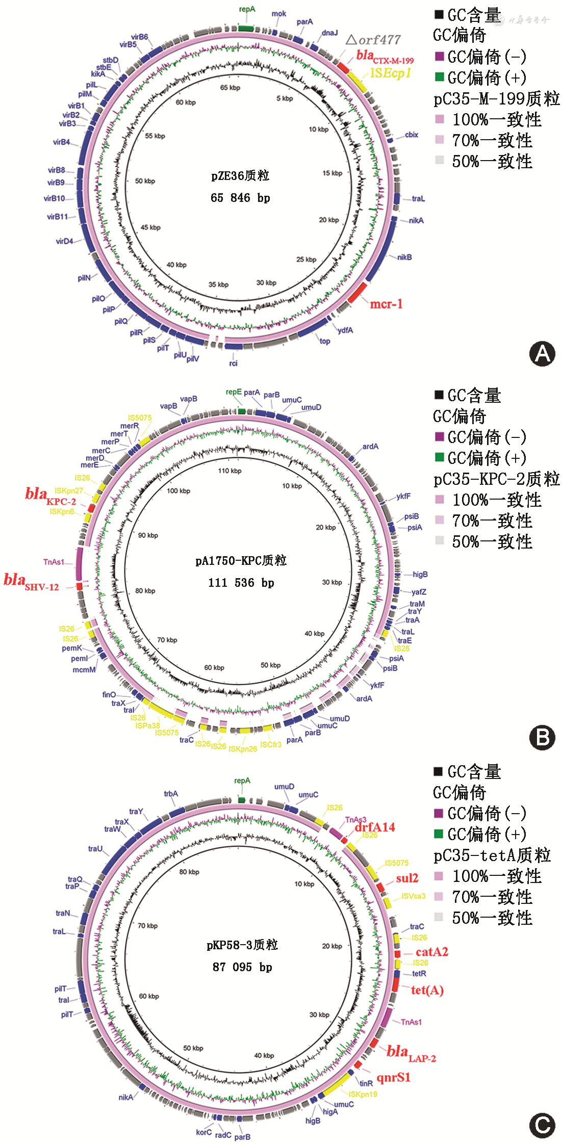 一株碳青霉烯耐药高毒力肺炎克雷伯菌耐药及毒力特征分析 - 中华医学杂志