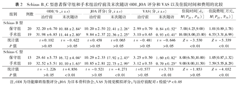 MRI Schizas形态学分型对腰椎管狭窄症疗效的评价 - 中华解剖与临床杂志