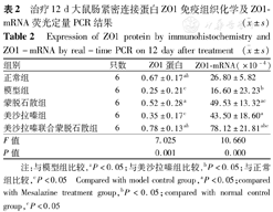 肠紧密连接ZO1蛋白测定对药物治疗溃疡性结肠炎大鼠疗效的评价 - 中华实用儿科临床杂志