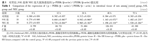 PERK/eIF2a/CHOP信号通路在新生大鼠坏死性小肠结肠炎机制中的作用 - 中华实用儿科临床杂志