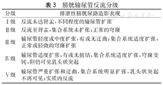 改良气膀胱腹腔镜Politano-Leadbetter术在儿童输尿管膀胱再植中的应用 - 中华小儿外科杂志