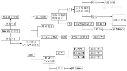 Beckwith-Wiedemann综合征研究进展