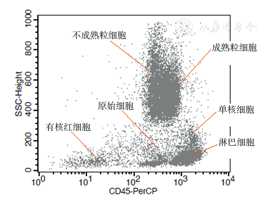 CD34阳性细胞绝对计数的流式细胞术测定指南 - 中华血液学杂志
