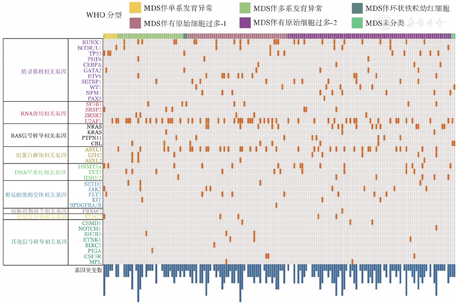 IPSS-R及WPSS移植前评估对异基因造血干细胞移植治疗骨髓增生异常综合征患者预后意义的研究 - 中华血液学杂志