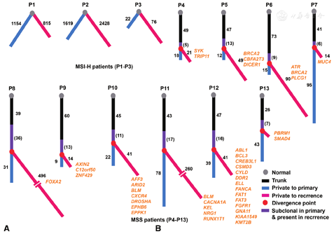 Genomic evolution during locoregional recurrence in colorectal cancer determined by whole-exome ...