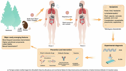 The current emergence of monkeypox: The recurrence of another smallpox?