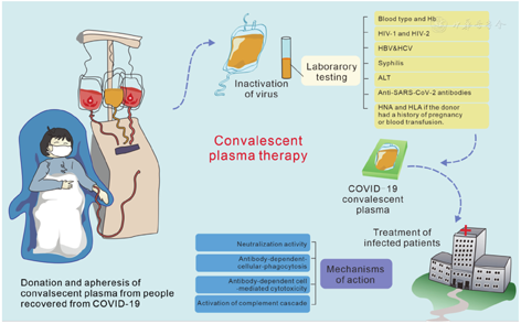 Potential benefits, mechanisms, and uncertainties of convalescent ...