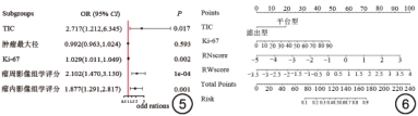 基于DCE-MRI瘤内及瘤周影像组学联合TIC分型及Ki-67预测乳腺癌患者HER-2表达 - 磁共振成像