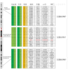 GPT2基因变异和单亲二倍体所致精神发育迟滞49型1例 - 中国临床案例成果数据库
