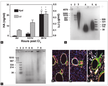 Halogen Inhalation-Induced Lung Injury and Acute Respiratory Distress ...