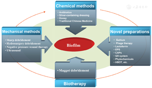 Chronic wound biofilms: diagnosis and therapeutic strategies