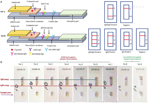 A rapid colloidal gold immunochromatographic assay for the diagnosis of ...