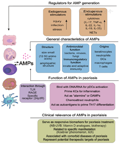 Antimicrobial peptides: bridging innate and adaptive immunity in the ...