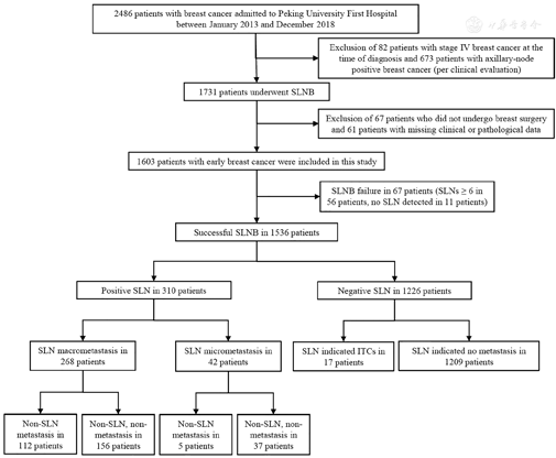 Retrospective analysis of sentinel lymph node biopsy using methylene ...