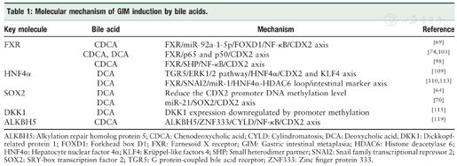 Bile reflux and bile acids in the progression of gastric intestinal ...