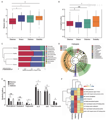 Alteration of gut microbiota in type 2 diabetes complicated with ...