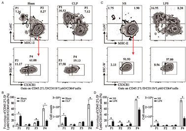 Activating transcription factor 4 protects mice against sepsis-induced ...