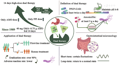 Dual therapy for Helicobacter pylori infection - 中华医学杂志（英文版）