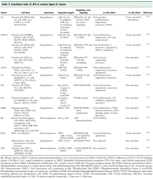 Emerging role of long non-coding RNA JPX in malignant processes and potential applications in ...