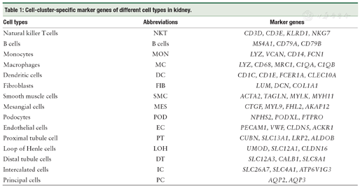 Single-cell RNA sequencing reveals the transcriptomic landscape of ...