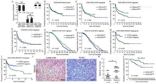 Reverse effect of Semaphorin-3F on rituximab resistance in diffuse ...