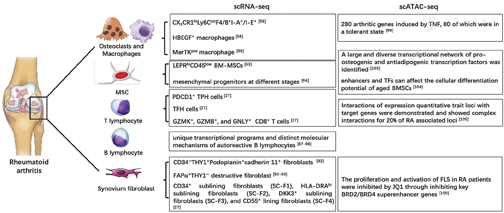 Osteoimmunology research in rheumatoid arthritis: From single-cell ...