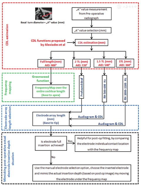 Research software in cochlear duct length estimation, Greenwood ...
