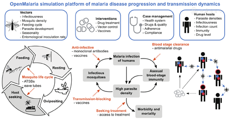 Leveraging mathematical models of disease dynamics and machine learning to improve development ...