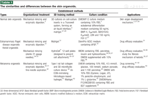 Skin Organoid Research Progress and Potential Applications