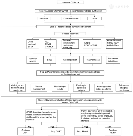 Expert recommendations on blood purification treatment protocol for ...