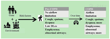 Early chronic obstructive pulmonary disease: A new perspective
