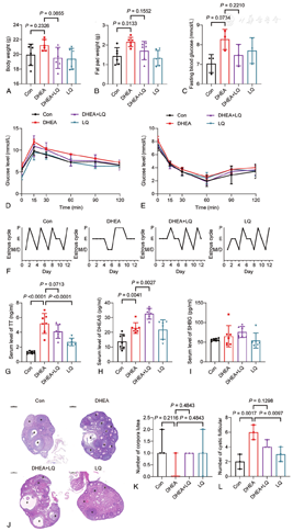 Liquiritin ameliorates metabolic and endocrine alterations in a mouse ...