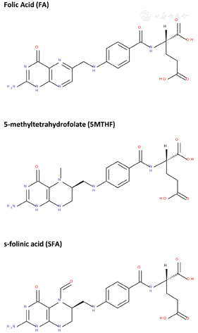 Characterization of folic acid, 5-methyltetrahydrofolate and synthetic ...