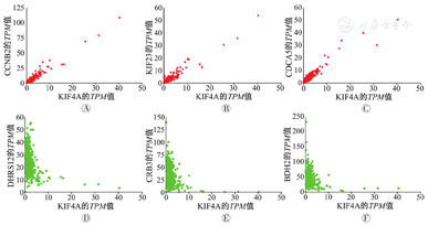 基于数据库分析KIF4A基因在肾透明细胞癌中临床意义 - 国际生物医学工程杂志