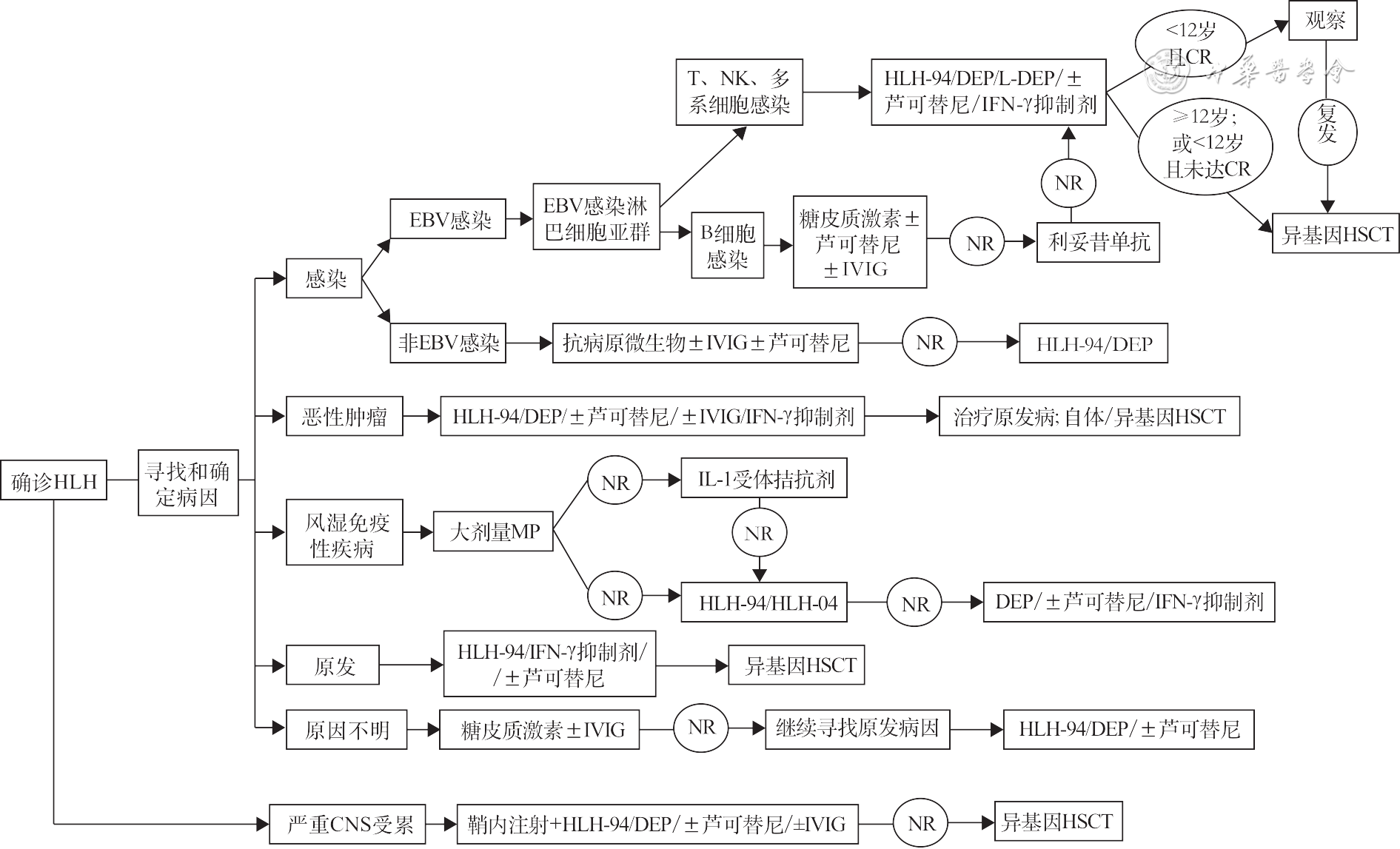中国噬血细胞综合征诊断与治疗指南（2022年版） - 中华医学杂志