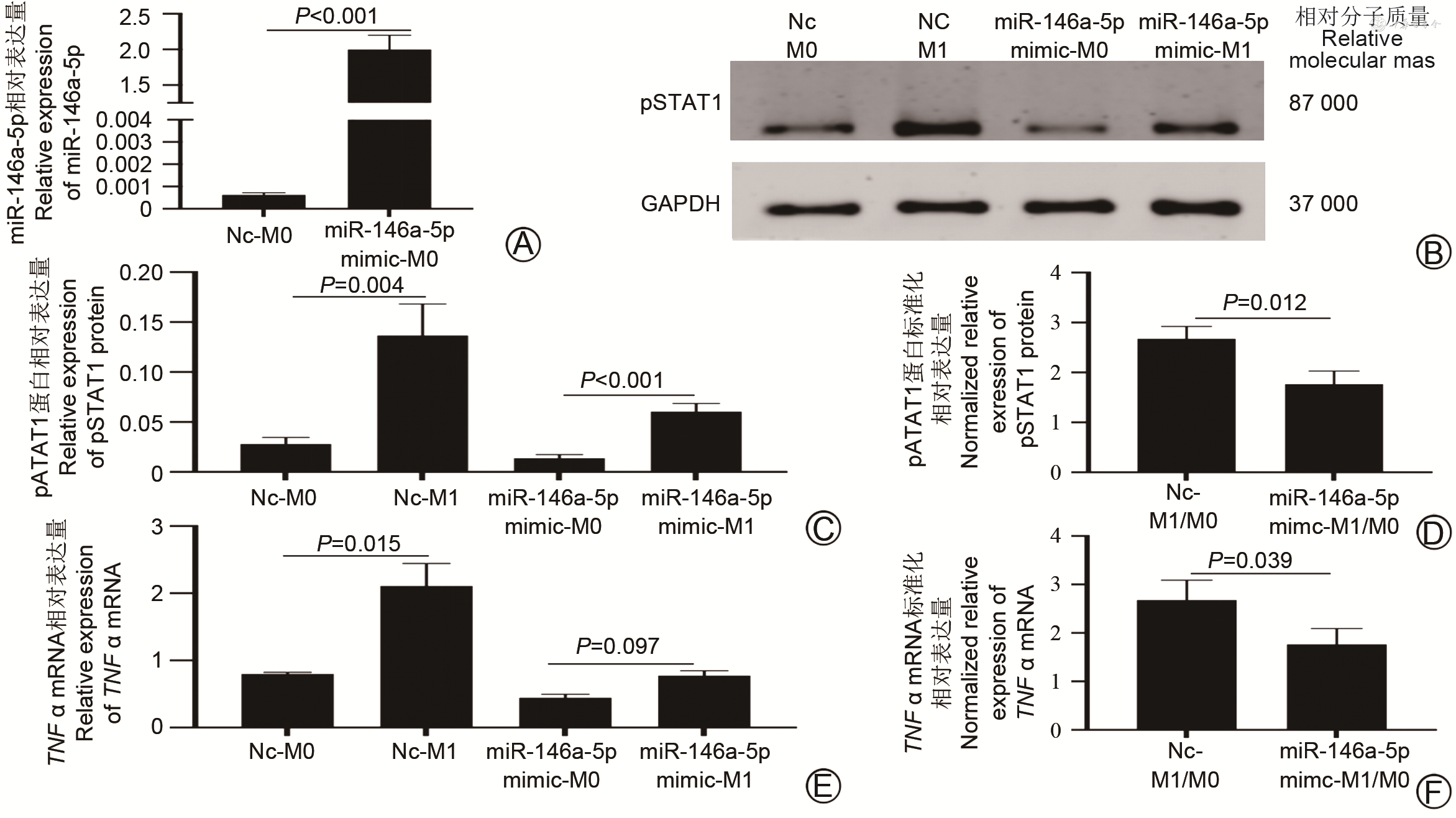 MiR-146a-5p对脂多糖诱导的小鼠胚胎吸收和胎鼠发育不良的改善作用及其机制初探 - 中华生殖与避孕杂志