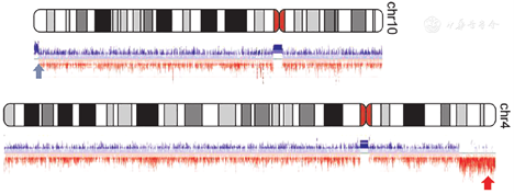 10q26.3缺失并4p16.3p15.33重复致严重身材矮小一例